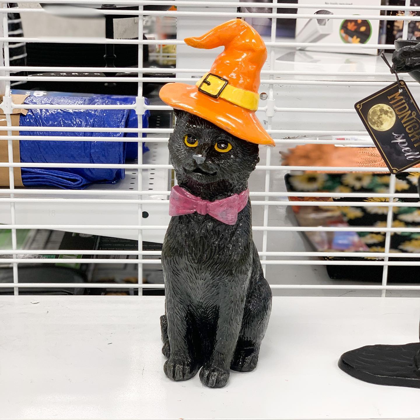 halloween ross 1 - Eastgate Square